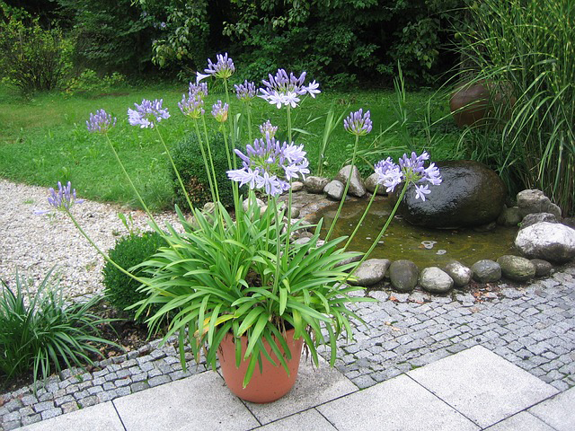 Landscape Water Feature Malaysia | Soothing Effect In Home
